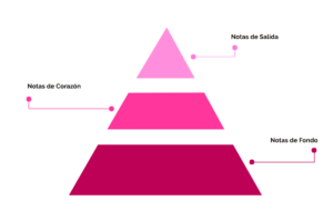 Qué es la pirámide olfativa y cómo utilizarla para elegir un perfume